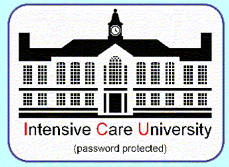 Intensive Care University